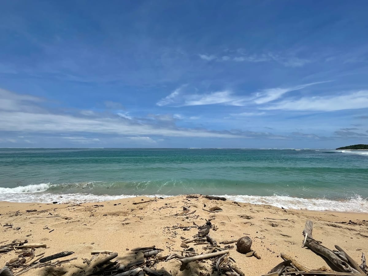 Conservation efforts under the California Coastal Act