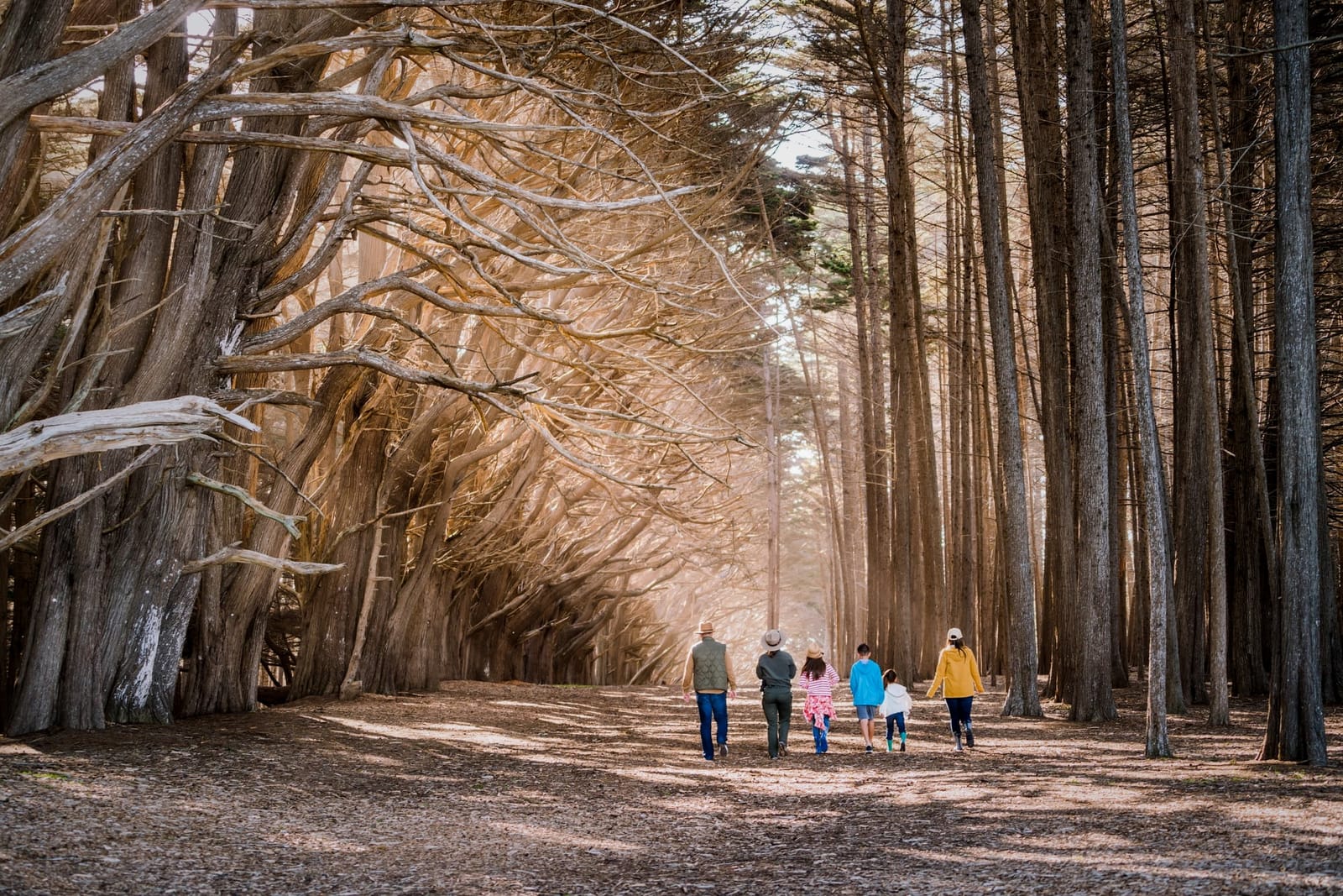 Which life events qualify for California Paid Family Leave? Bonding ...