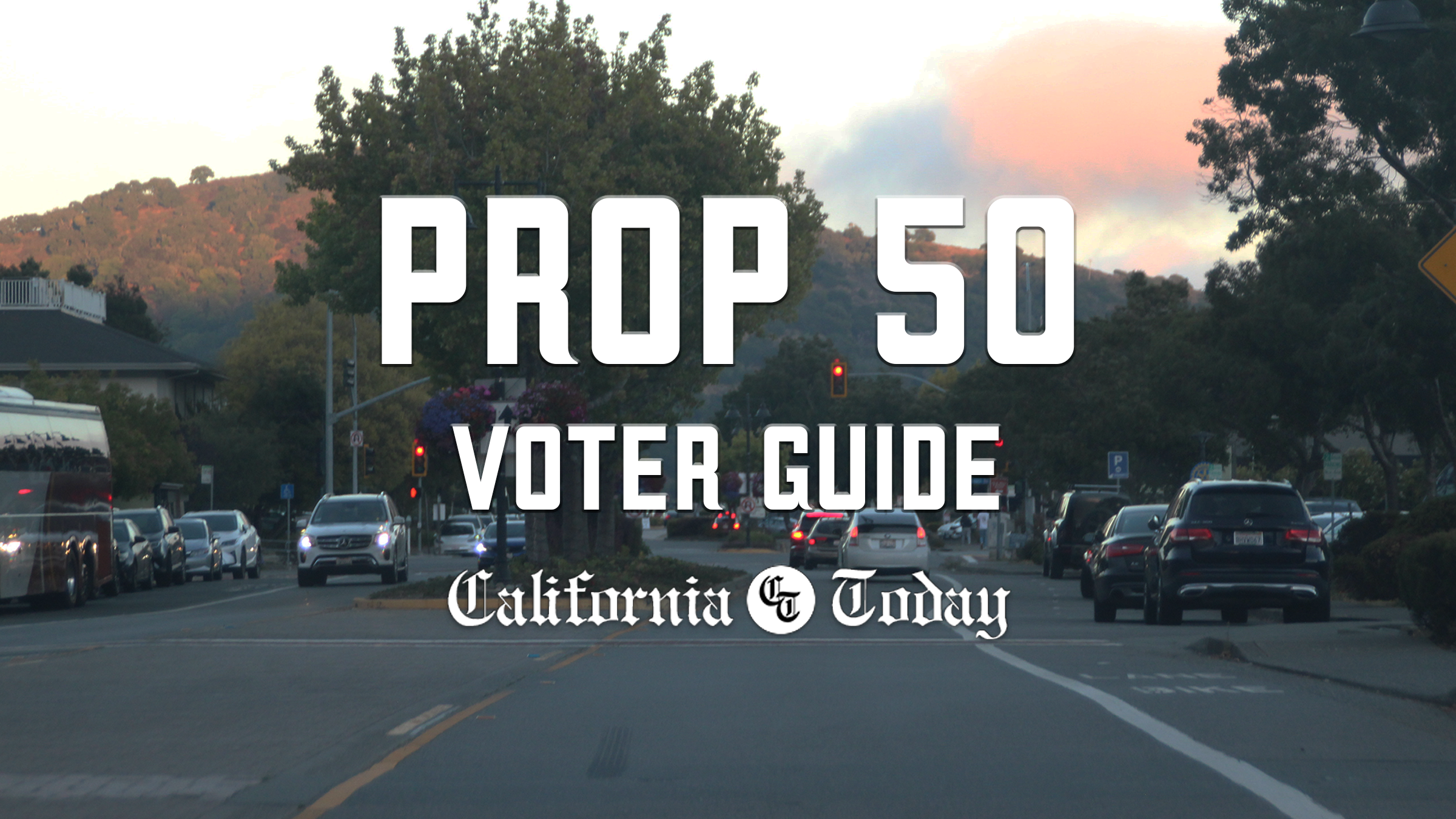 Official Proposition 50 Voter Guide now available for public download